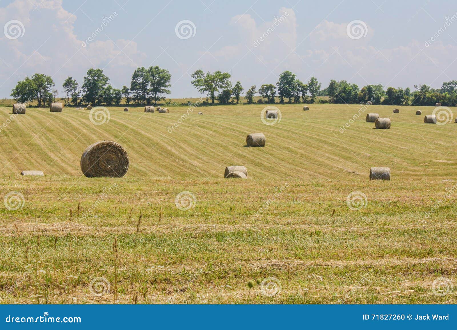Hey Field in the Midwest and Large Round Bails. Stock Photo - Image of ...