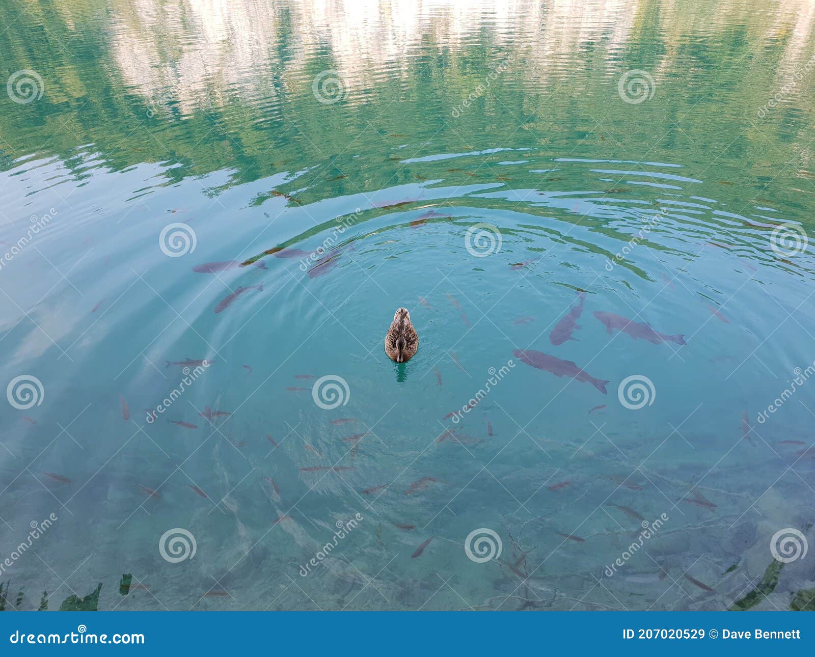 Hgfdseg hgf hg imagen de archivo. Imagen de yutt, fjvkdf - 207020529