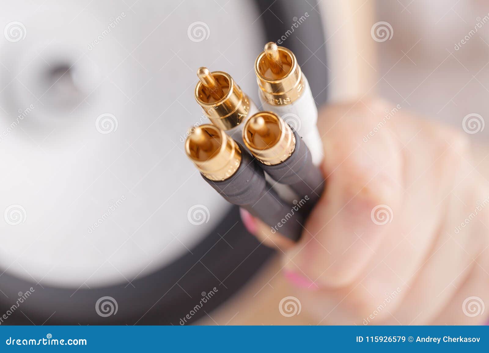 Hi-fi Music Cable in Female Hands Stock Image - Image of media, hifi ...