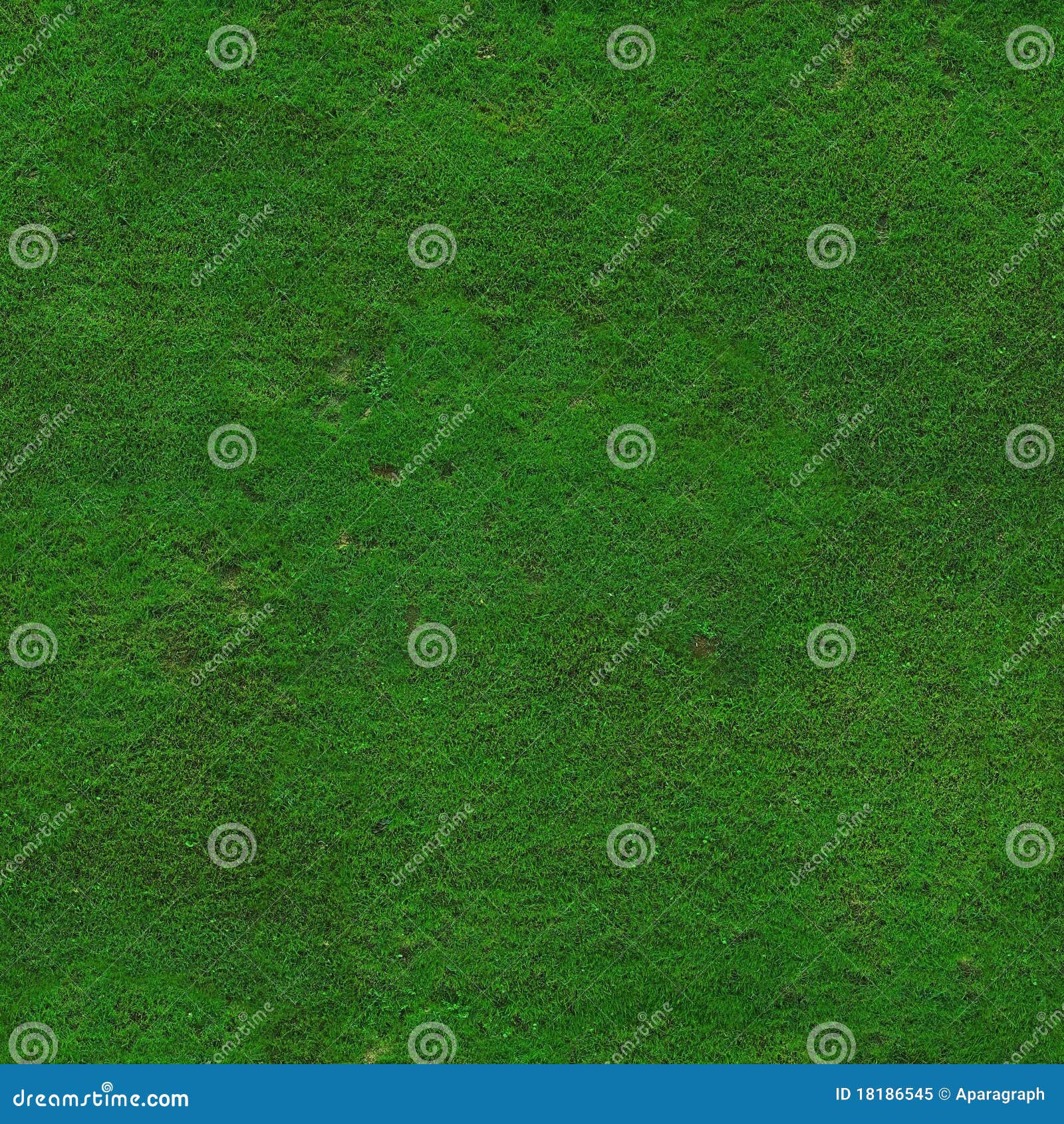 Hi-res green grass texture stock image. Image of land - 18186545