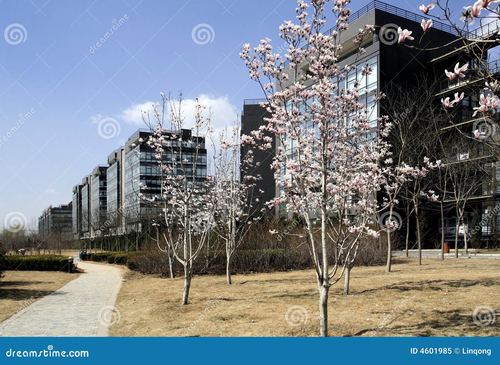 Hi-Tech Garden Of Beijing. Picture Image: 4601985