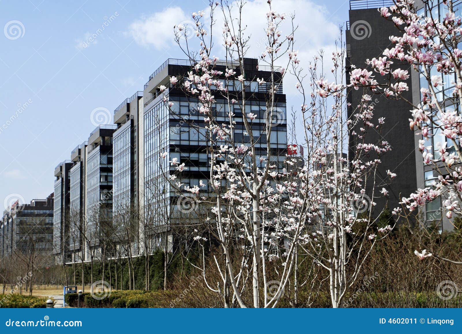 Hi-Tech garden of Beijing. stock image. Image of chinese - 4602011