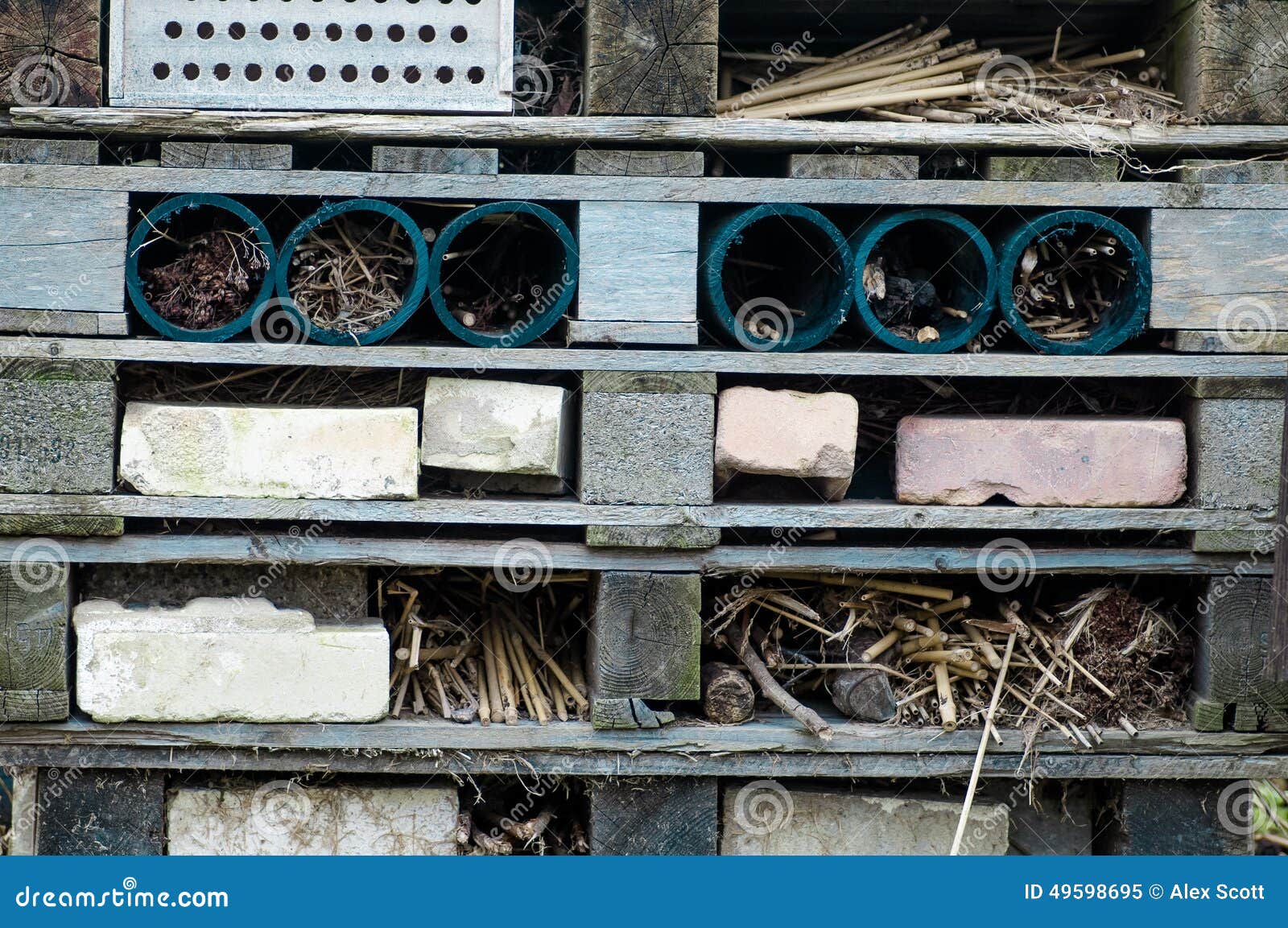 Hibernaculum for Invertebrates Stock Image - Image of environment ...