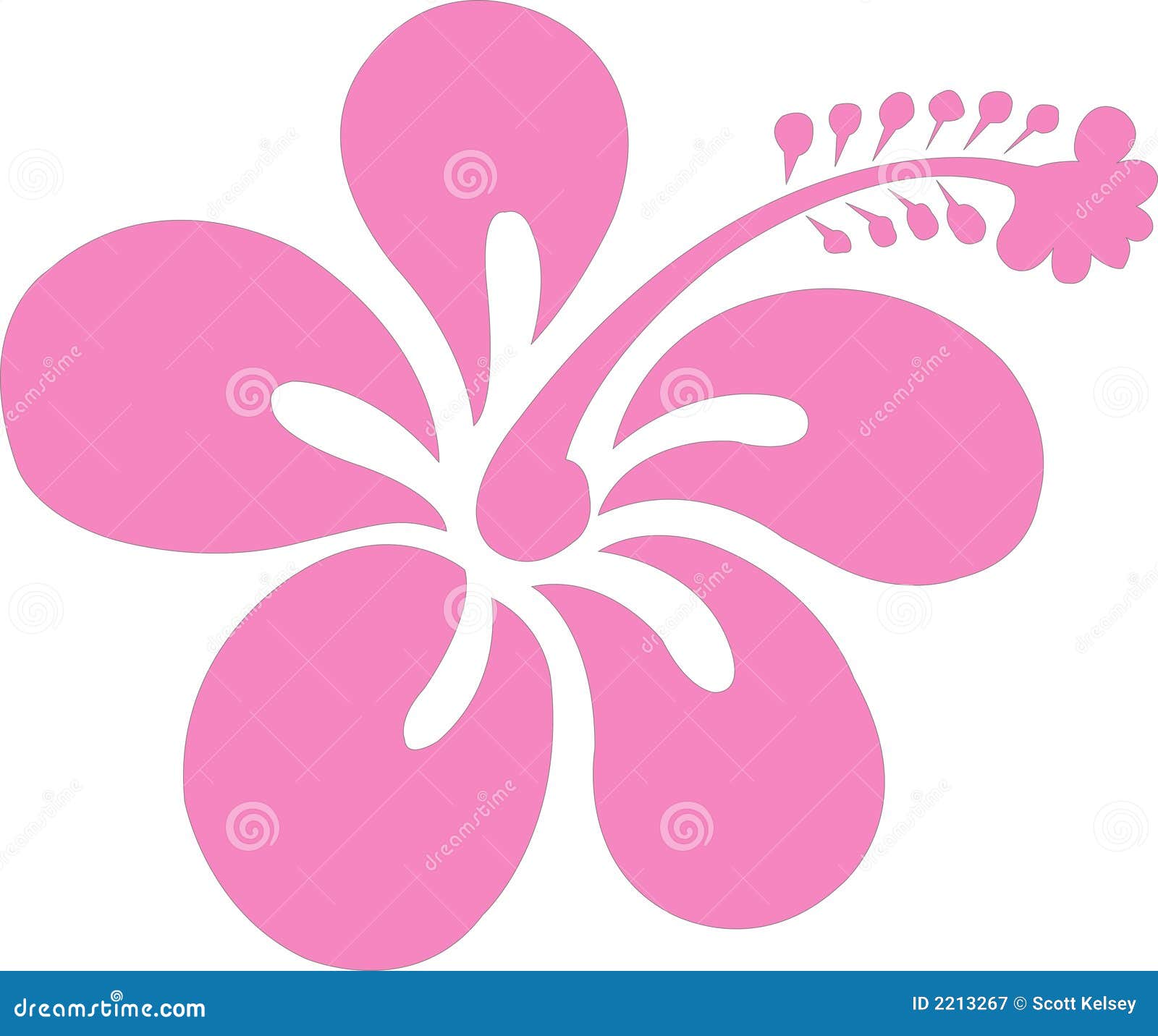 Hibisco ilustración del vector. Ilustración de hibisco - 2213267