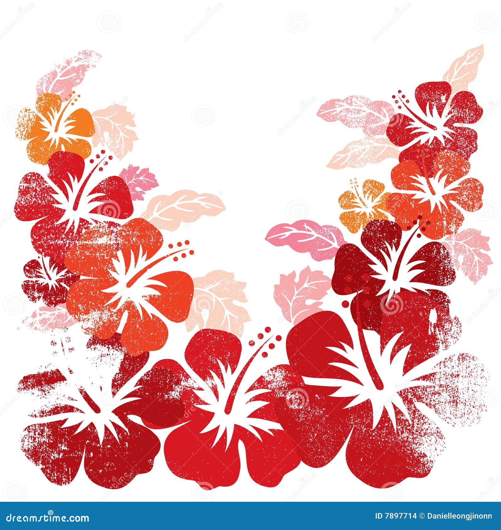 Hibiscus stock illustration. Illustration of green, pure - 7897714