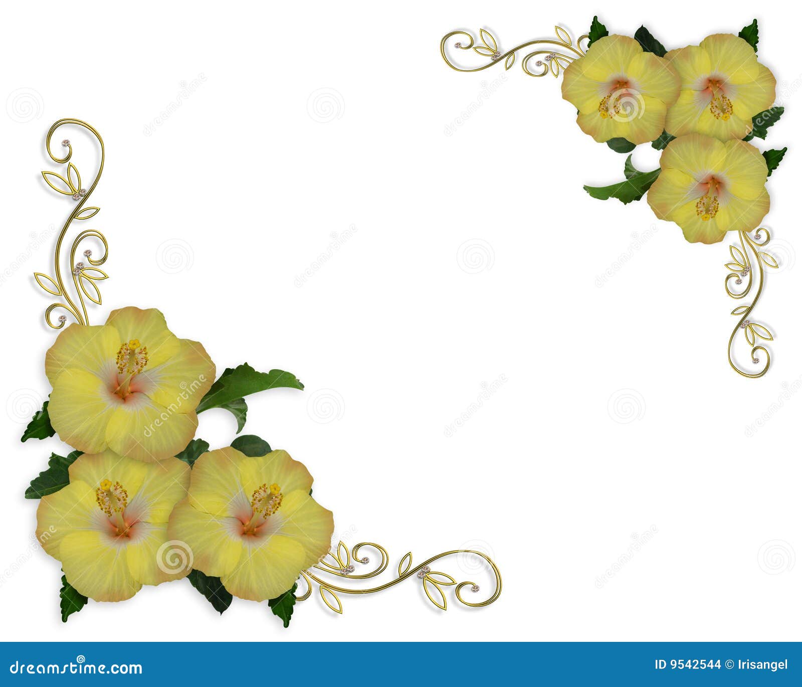 Hibiscus Corner Design Elegant Border Stock Illustration - Illustration ...