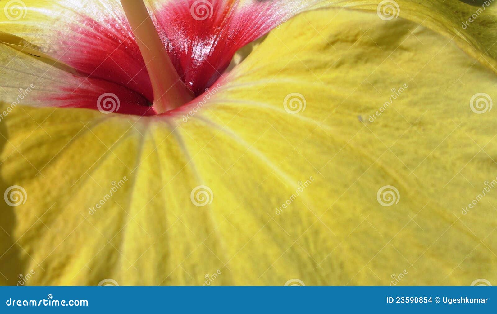 Gurhal Stock Photos - Free & Royalty-Free Stock Photos from Dreamstime