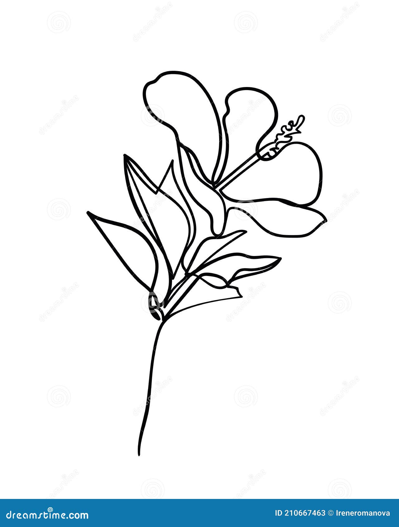 Hibiscus Flower Icon. Continuous One Line Drawing Stock Vector ...