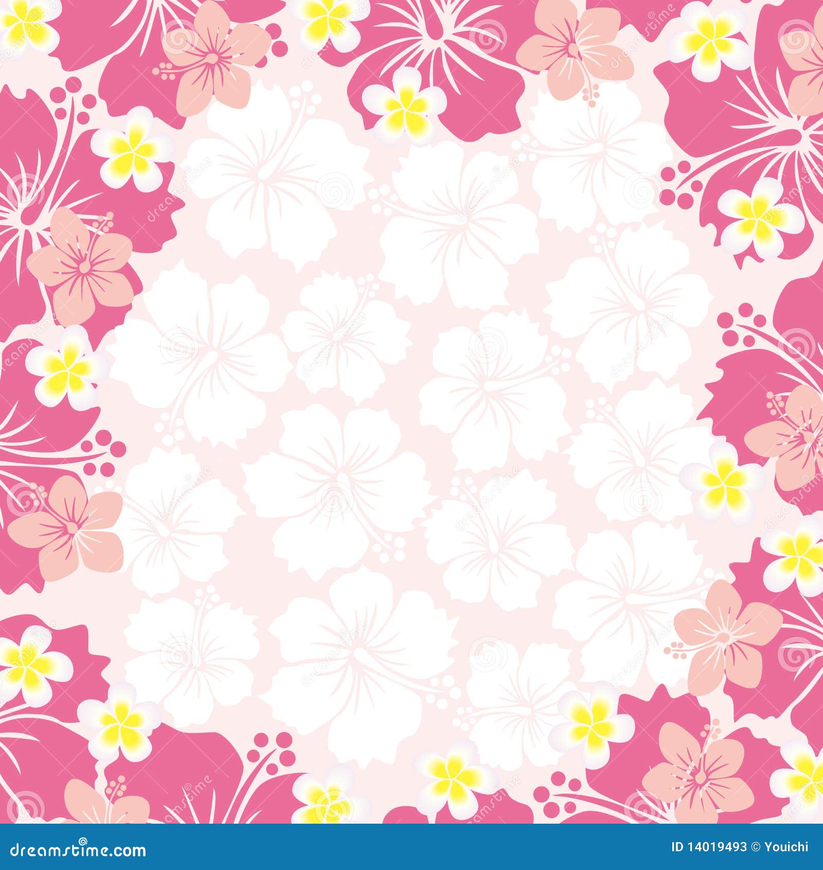 Hibiscus Frame Background Royalty-Free Stock Photography ...