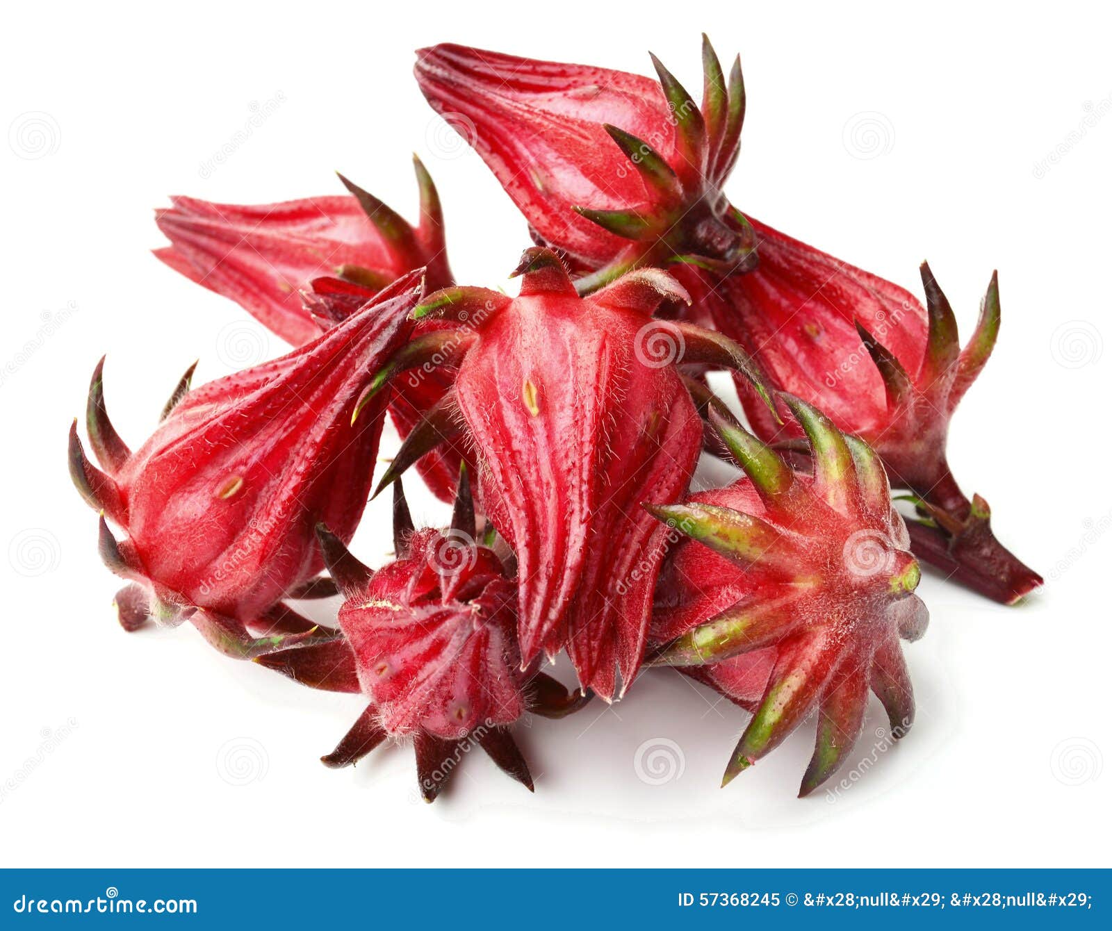 Hibiscus Sabdariffa or Roselle Fruits. Stock Image - Image of dried ...