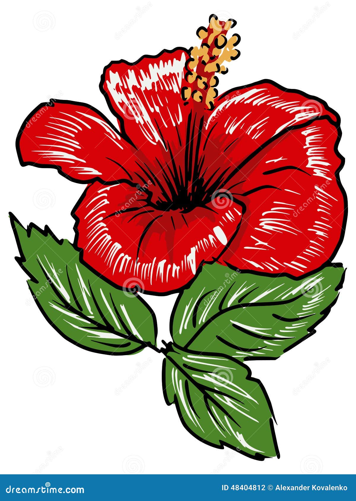 Hibiscus stock vector. Illustration of cartoon, pink - 48404812