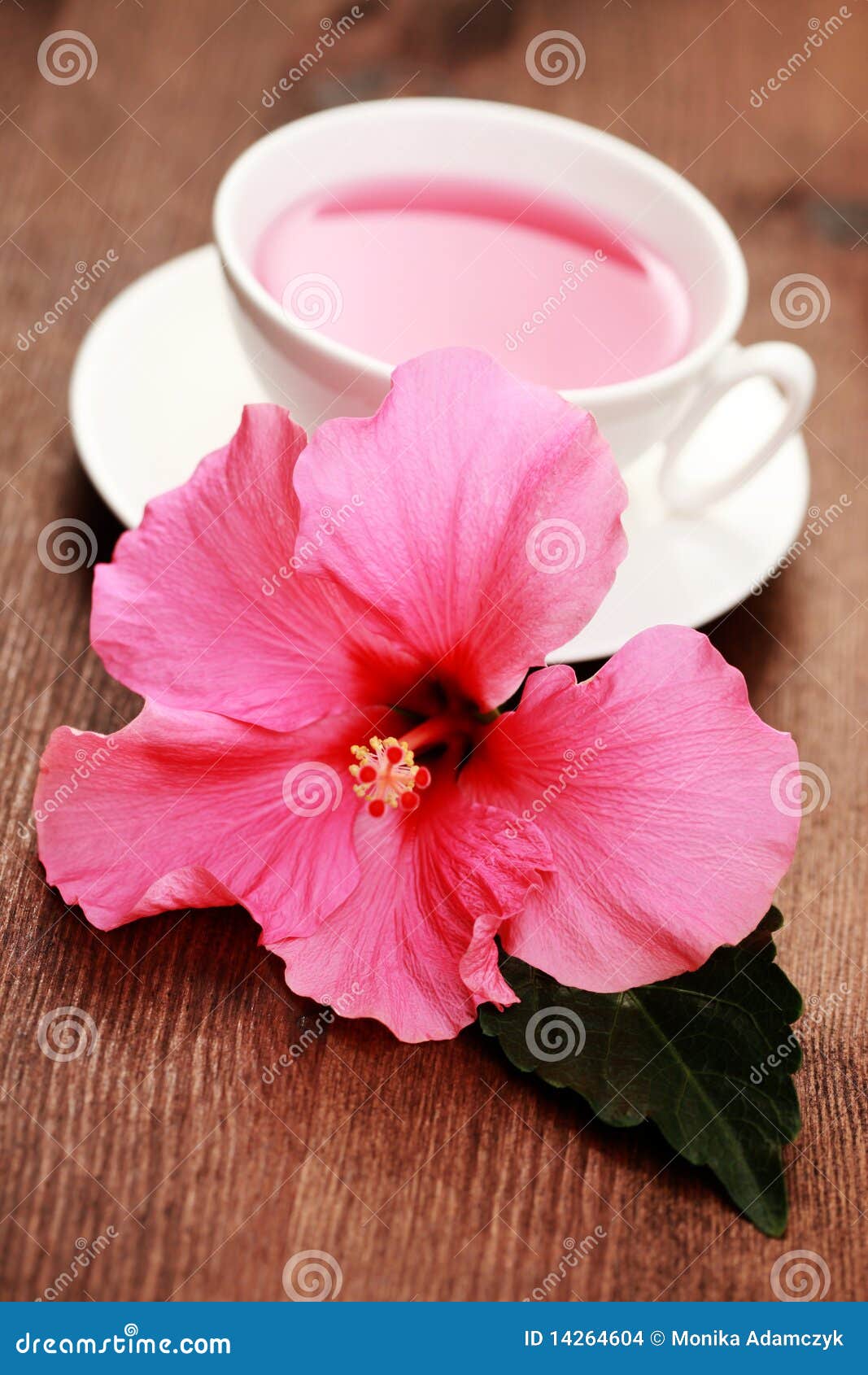 Hibiscus tea stock photo. Image of beverages, herbal - 14264604