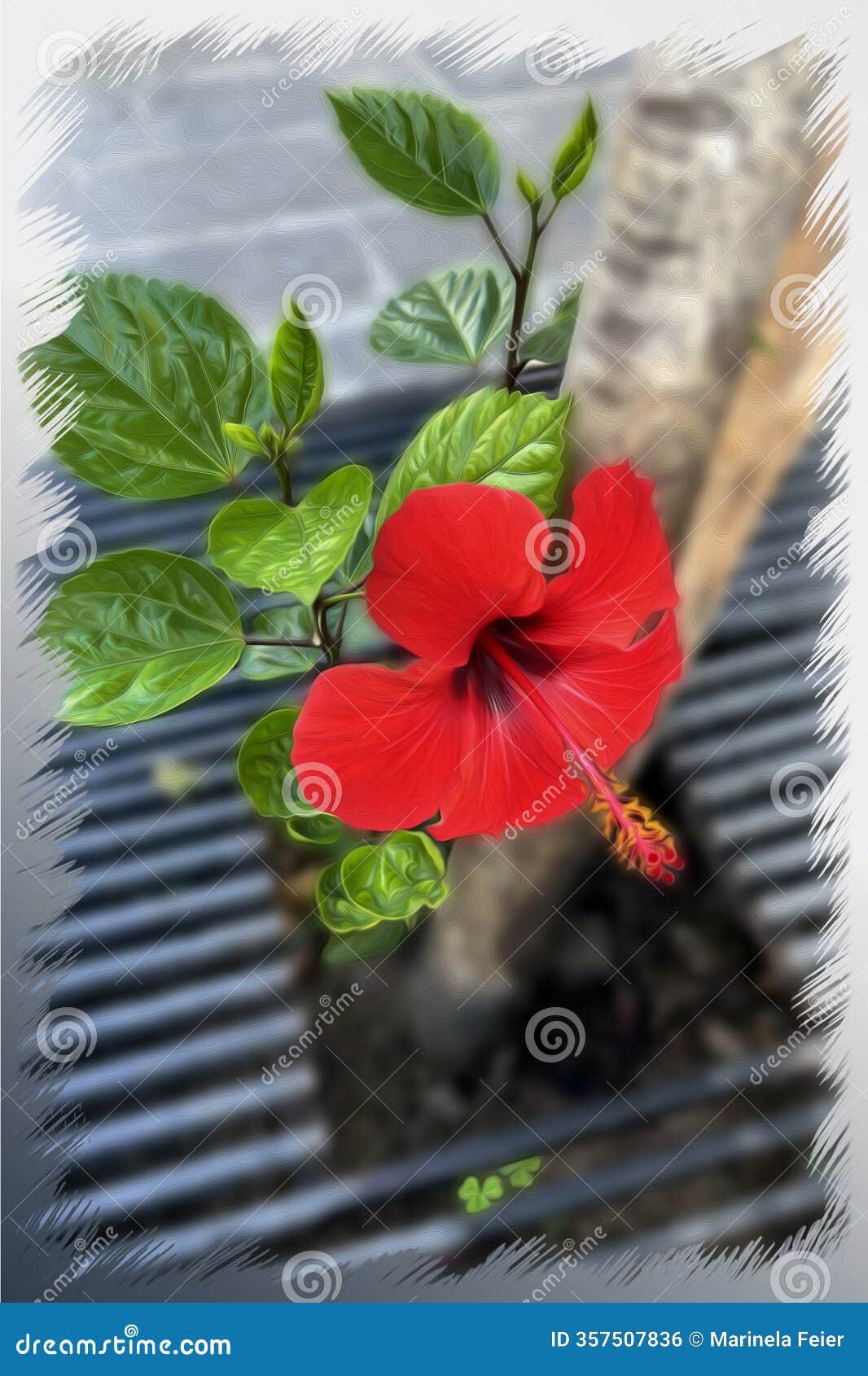 Hibiscus tree root stock photo. Image of hibiscus, effect - 357507836