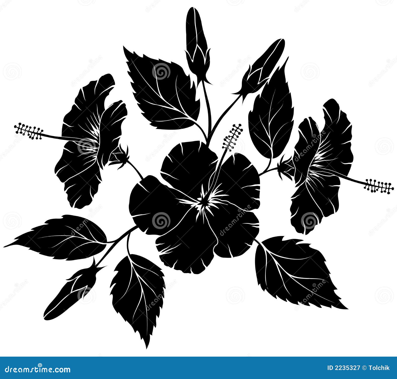 Hibiscus, Vector Illustration Stock Vector - Illustration of floral ...