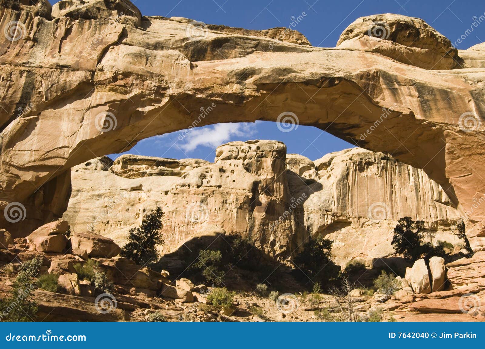 Hickman Bridge arch stock photo. Image of valley, destination - 7642040