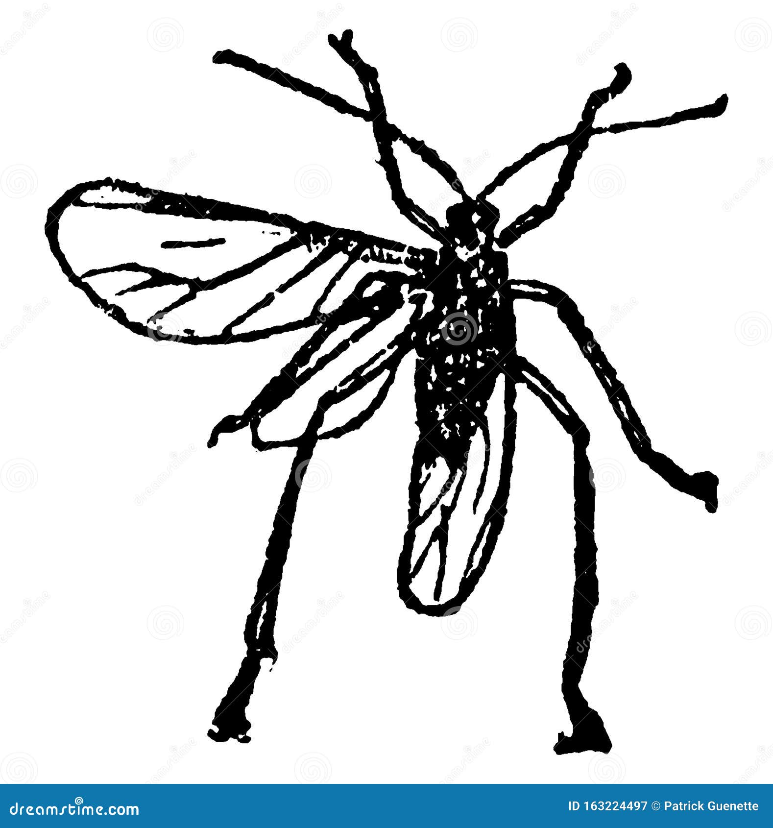 Aphis Cartoons, Illustrations & Vector Stock Images - 32 Pictures to ...