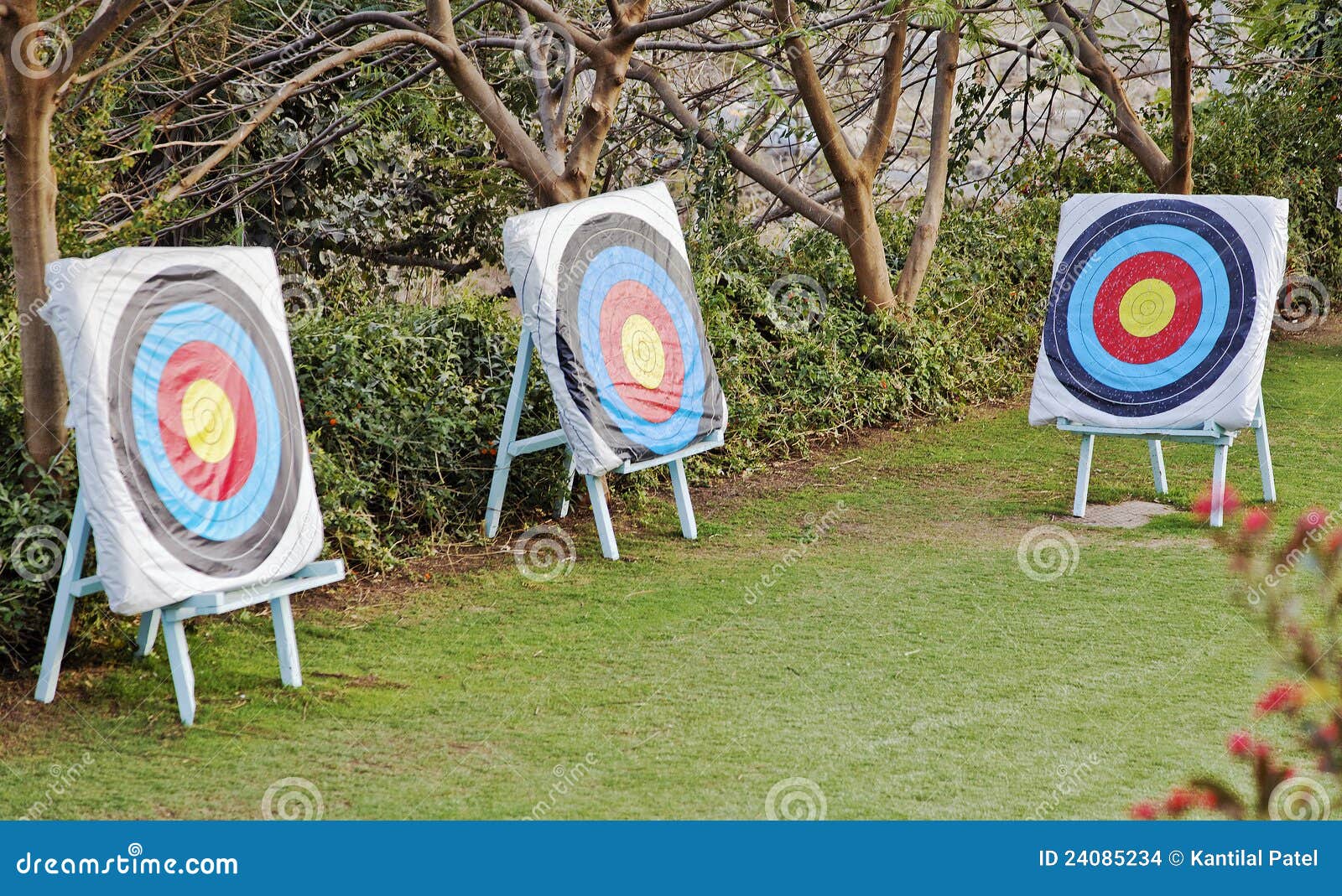 Hidden Archery Target Range Stock Photo - Image of shooting, trees ...
