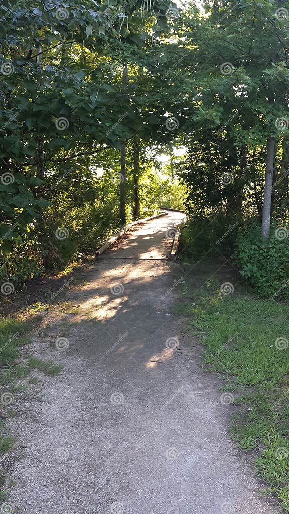 Hidden bridge stock image. Image of shining, hidden, bridge - 97060137