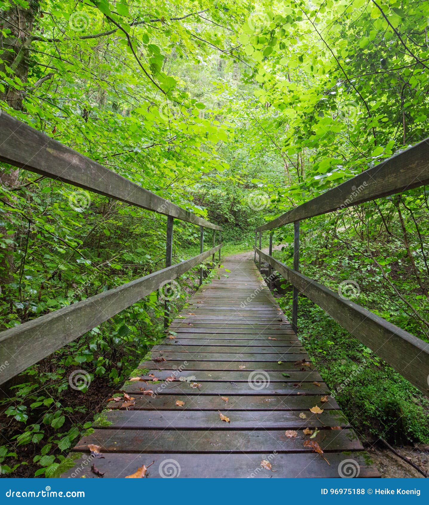 Hidden bridge stock photo. Image of pass, archway, deep - 96975188