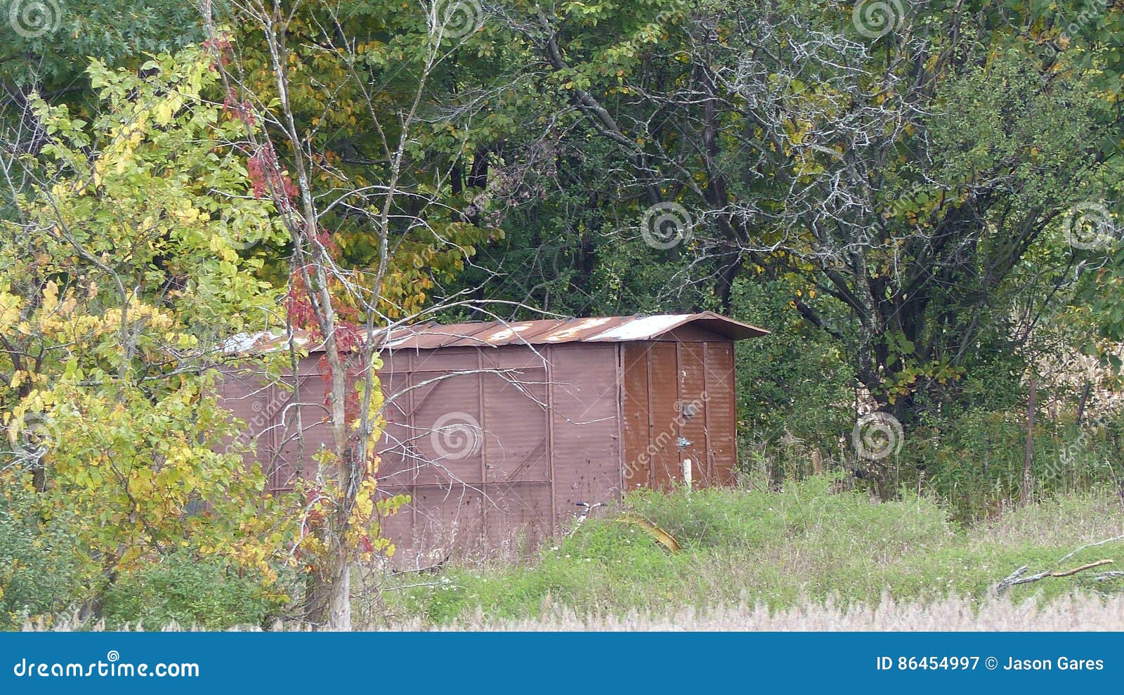 A Hidden Brown Shack stock image. Image of adorn, flowing - 86454997
