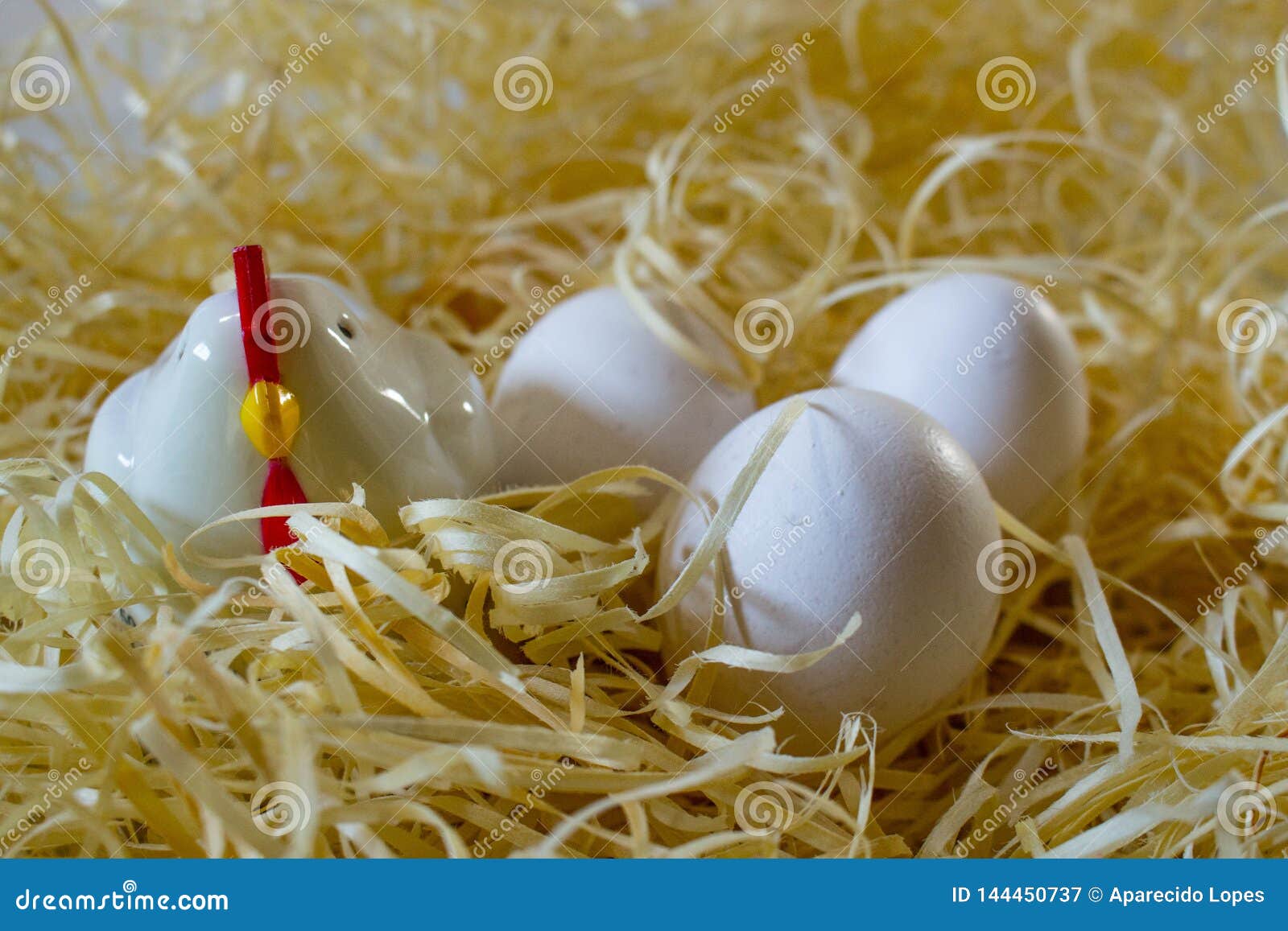 The hidden chicken stock image. Image of white, easter - 144450737