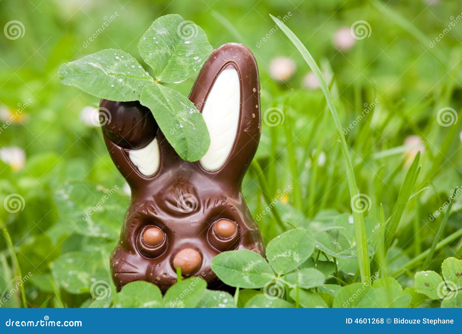 Hidden chocolate rabbit stock photo. Image of rabbit, clover - 4601268