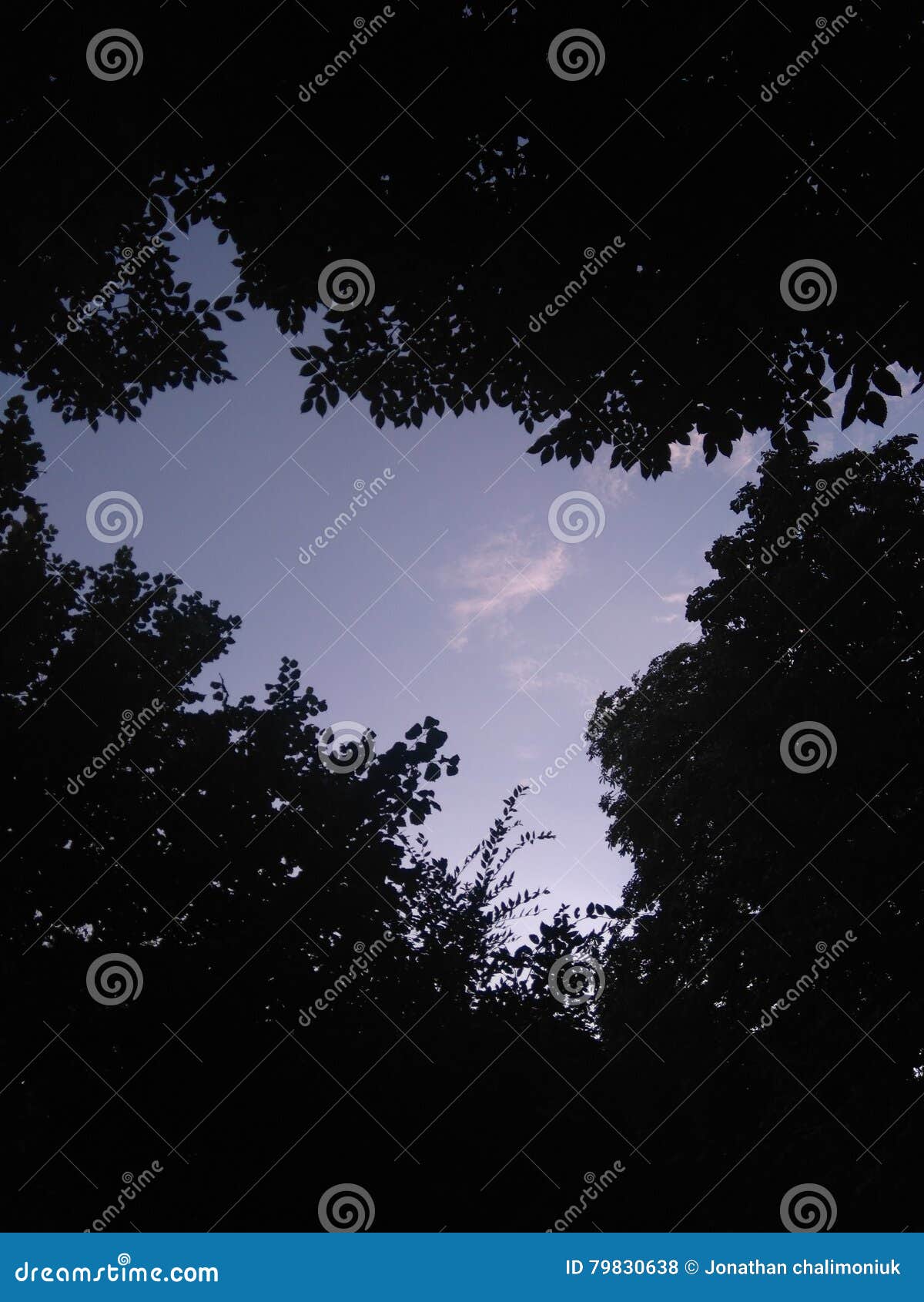 Hidden Cloud stock photo. Image of hidden, leaves, tiny - 79830638