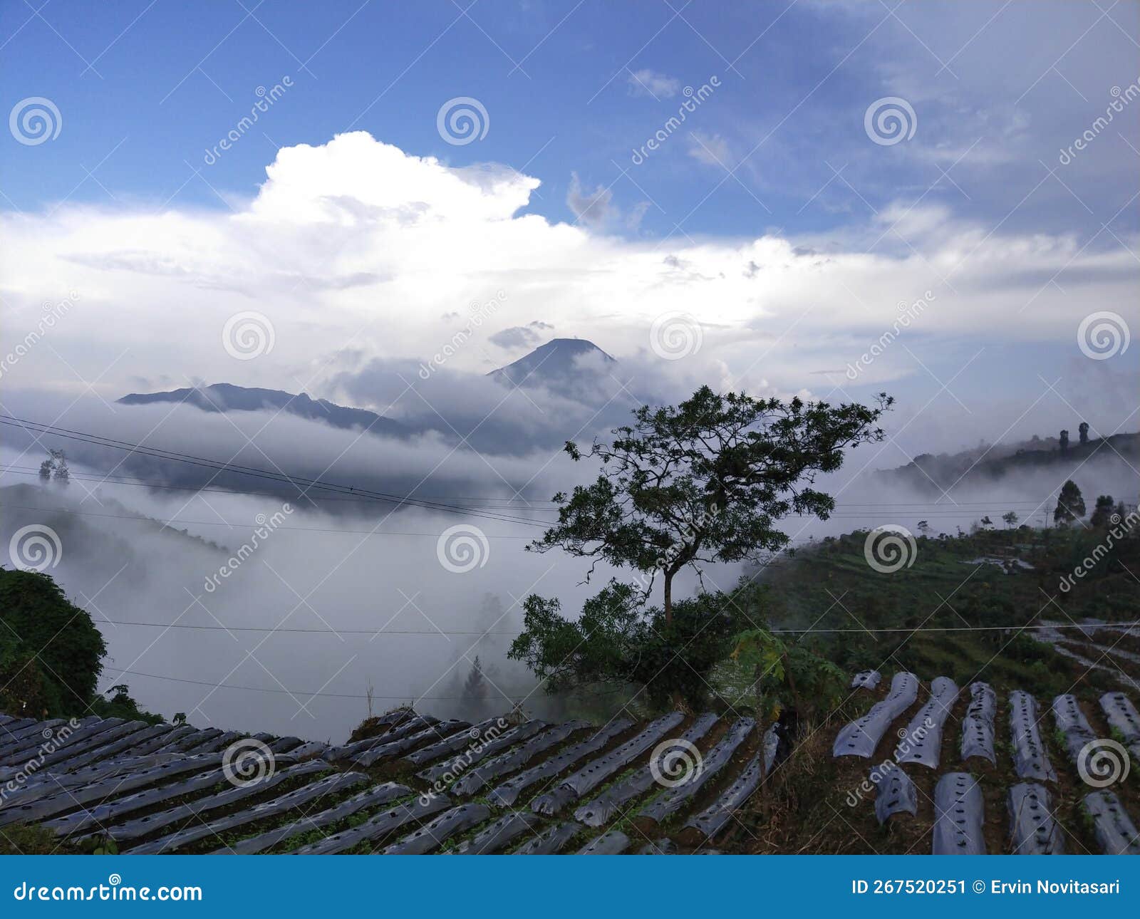 Hidden Country on the Cloud Stock Image - Image of sunlight, indonesia ...