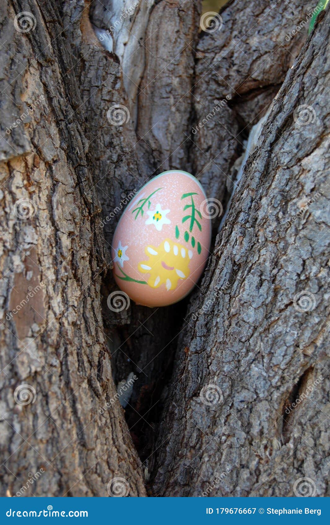 Hidden Decorated Easter Egg in a Tree Stock Image - Image of treat ...