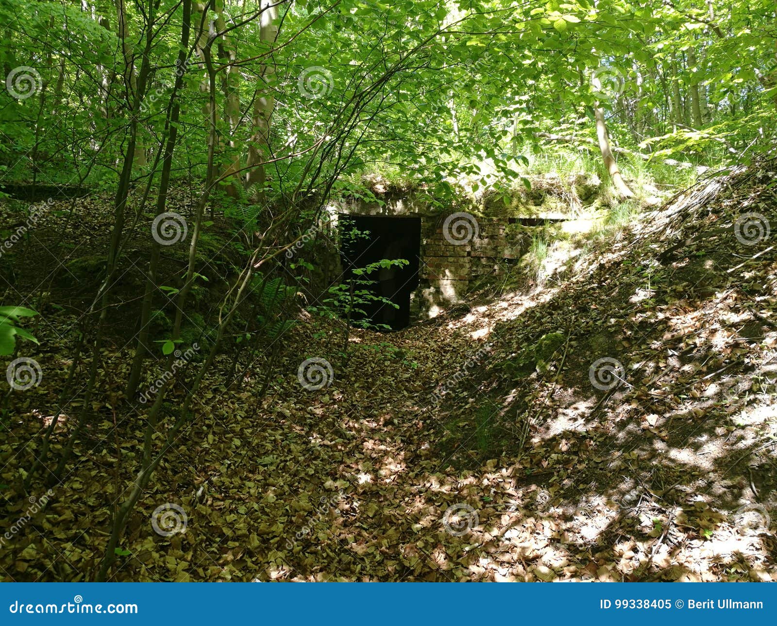 A Hidden Door Of A Delapitated Old Brick Building Royalty-Free Stock ...