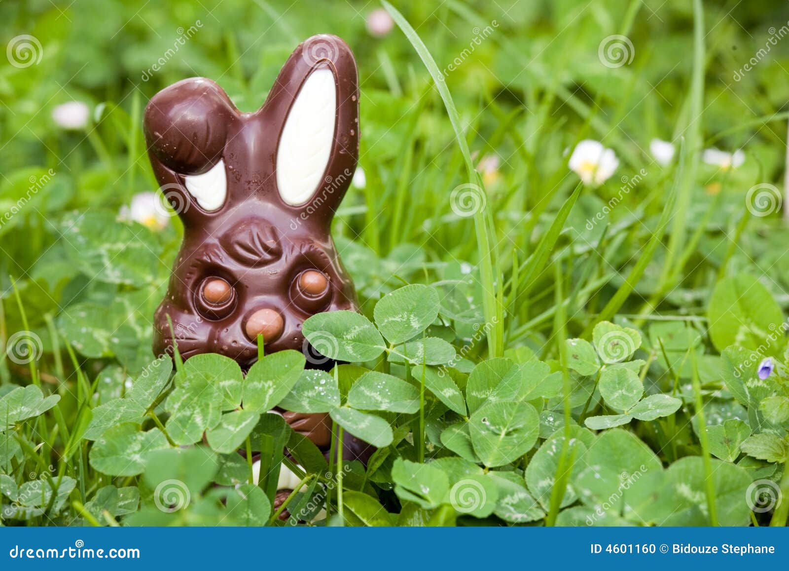 Hidden easter rabbit stock photo. Image of celebration - 4601160