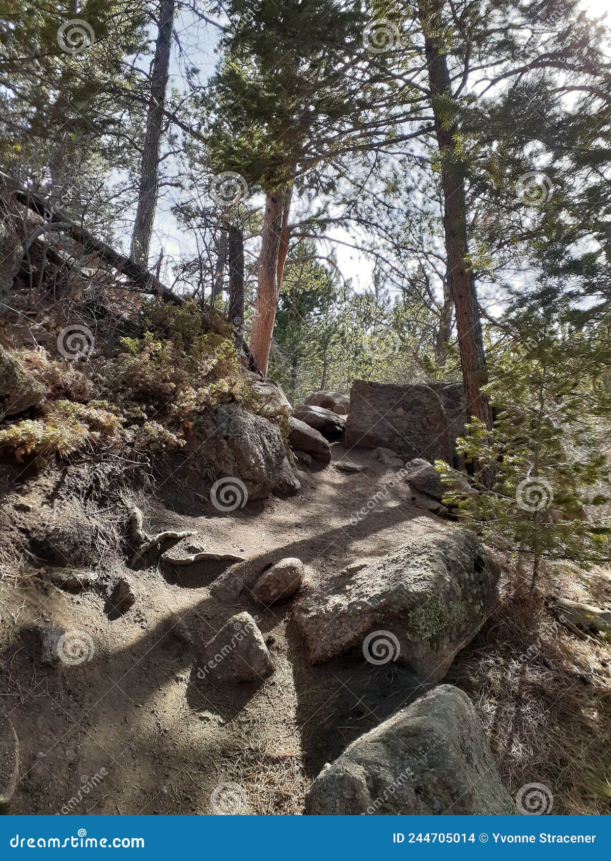 Hidden Falls Trail , Curt Gowdy State Park Stock Photo - Image of soil ...
