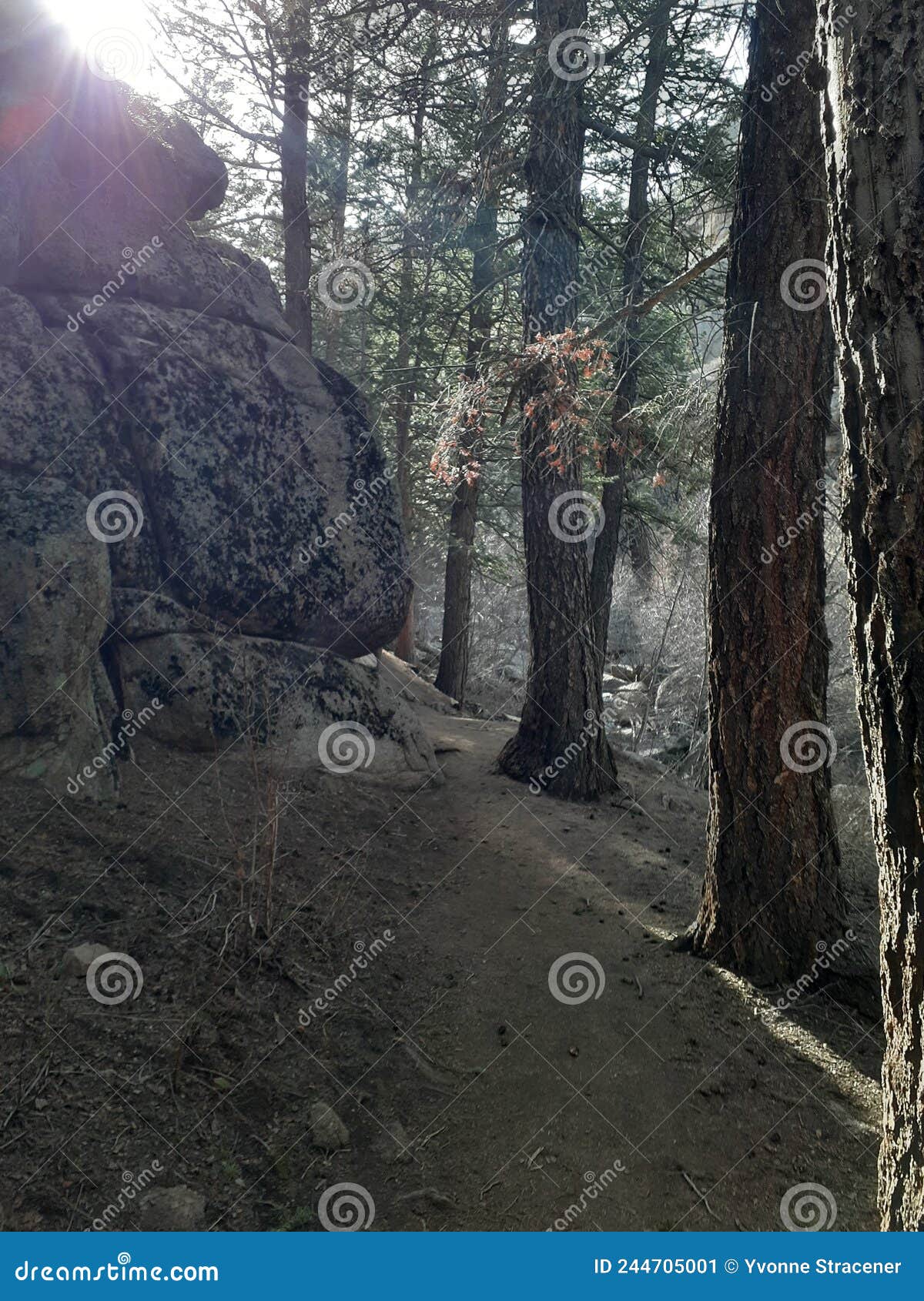 Hidden Falls Trail , Curt Gowdy State Park , Cheyenne, Wy Stock Image ...
