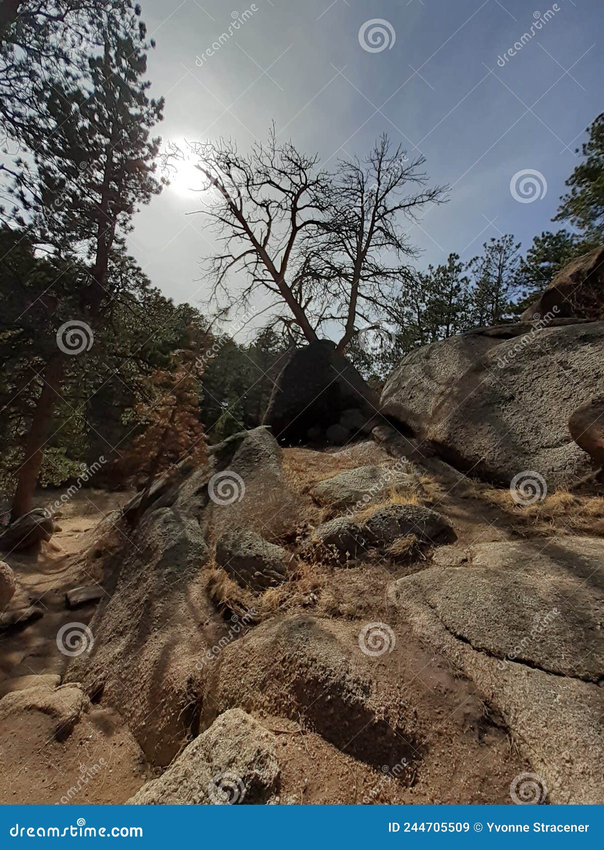 Hidden Falls Trail , Curt Gowdy State Park , Cheyenne, Wy Stock Image ...