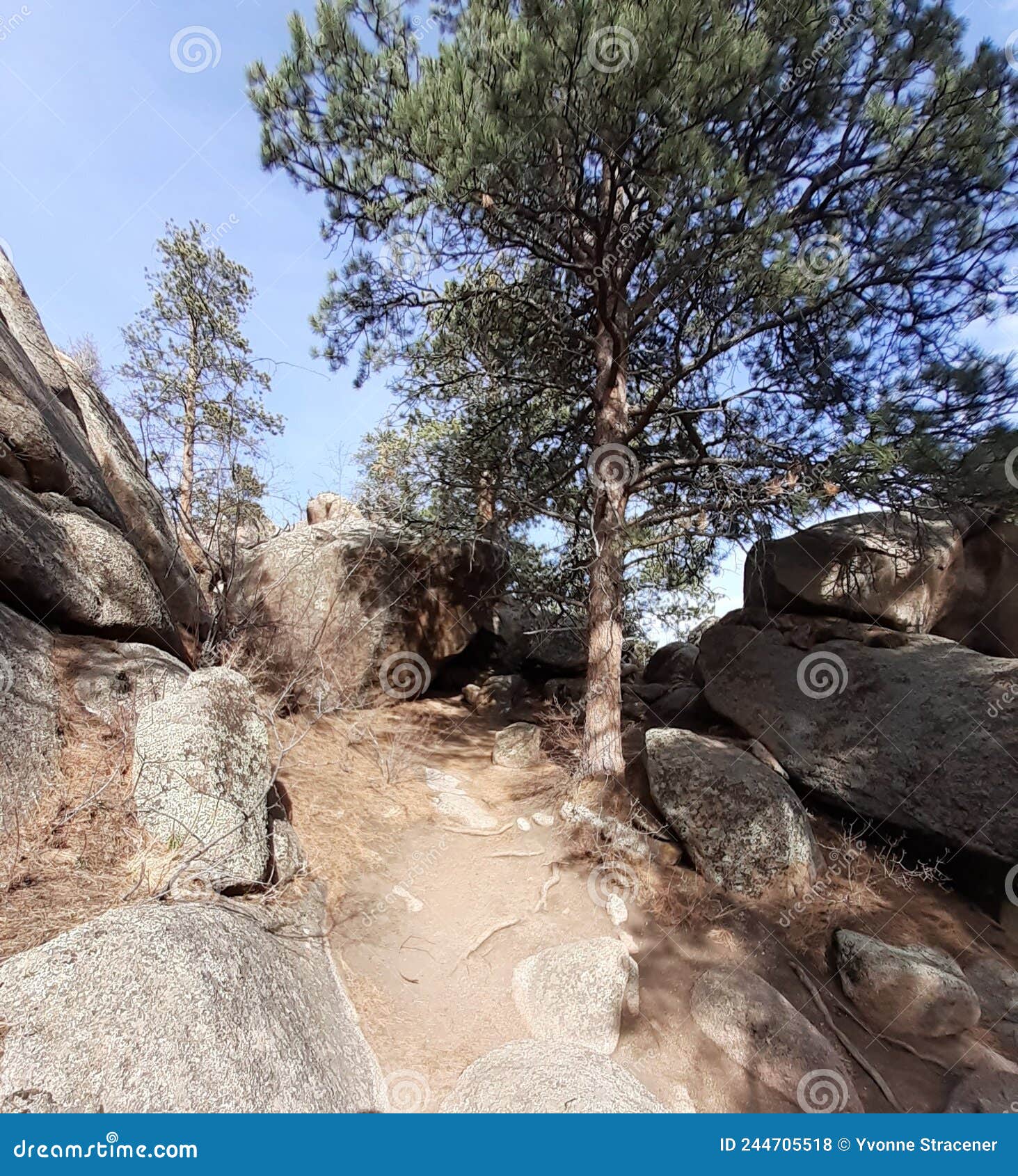 Hidden Falls Trail , Curt Gowdy State Park , Cheyenne, Wy Stock Photo ...