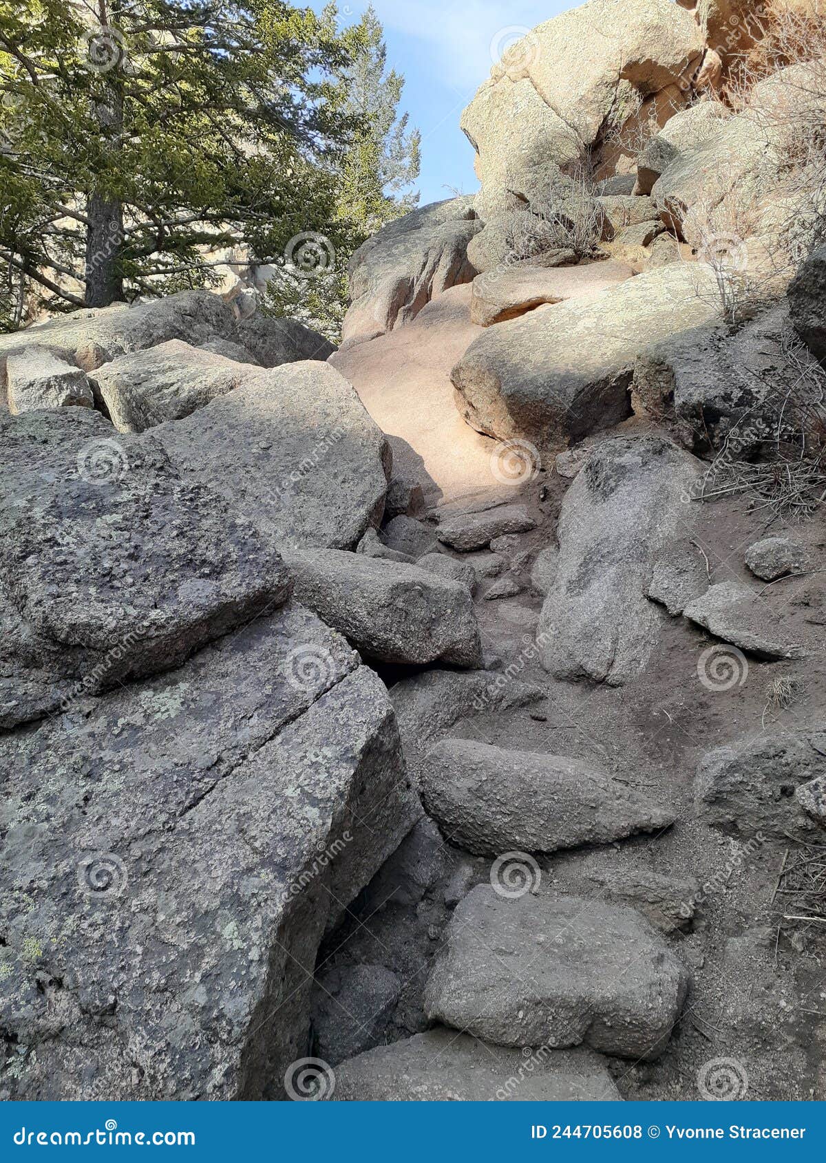 Hidden Falls Trail , Curt Gowdy State Park , Cheyenne, Wy Stock Photo ...