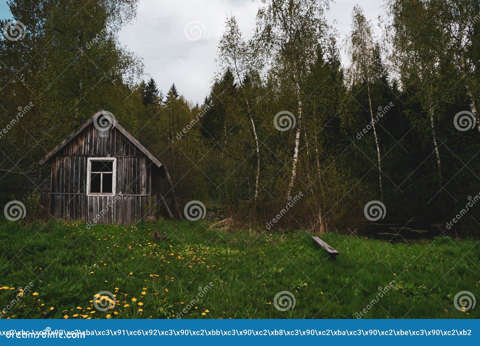 Hidden in the forest stock image. Image of rural, cottage - 183677153