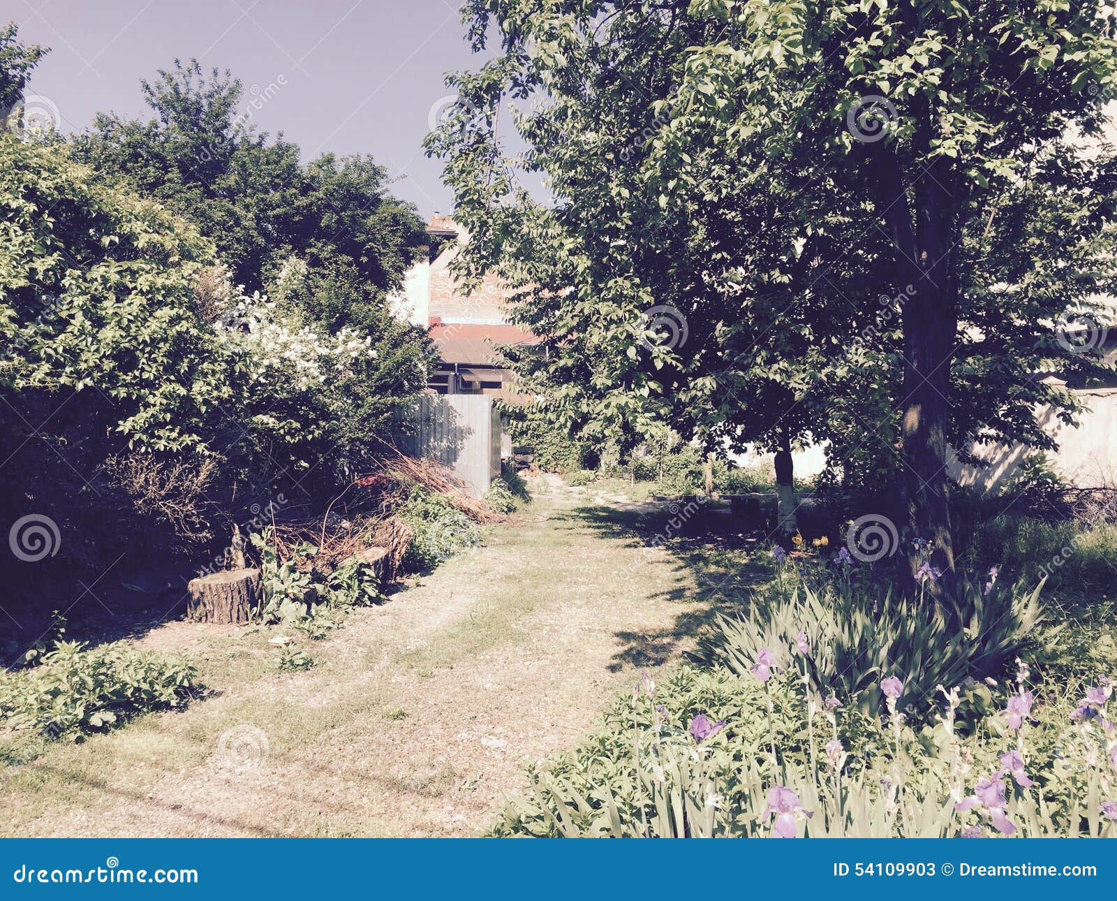 Hidden garden stock image. Image of aspect, left, tree - 54109903