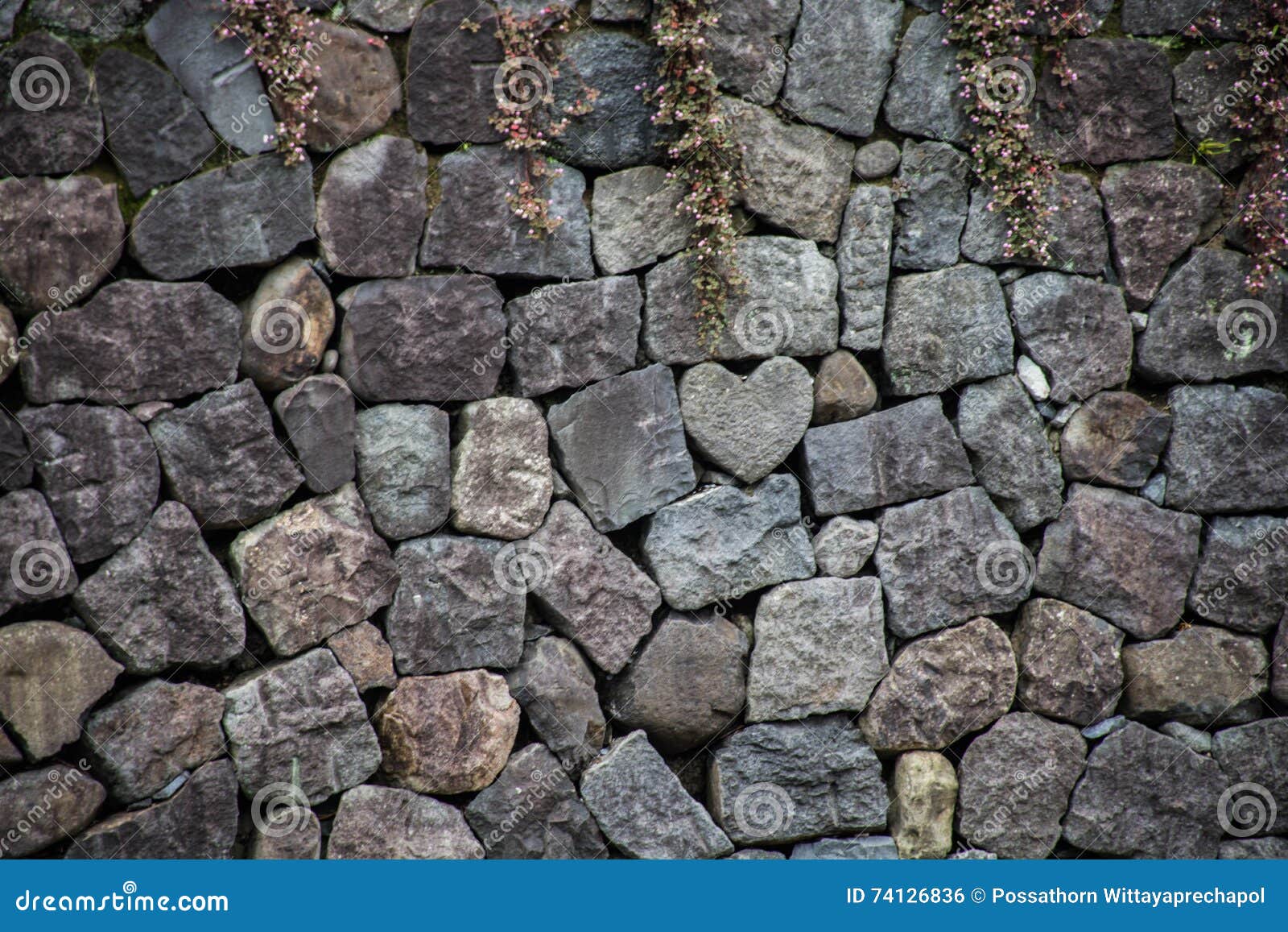 Hidden Tip Royalty-Free Stock Photography | CartoonDealer.com #12934253