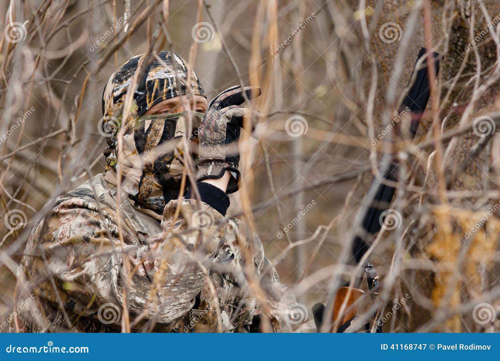 Hidden hunter in shrubs stock image. Image of actions - 41168747