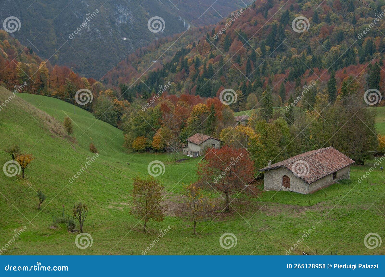 Hidden hunting stock photo. Image of agriculture, farmhouse - 265128958