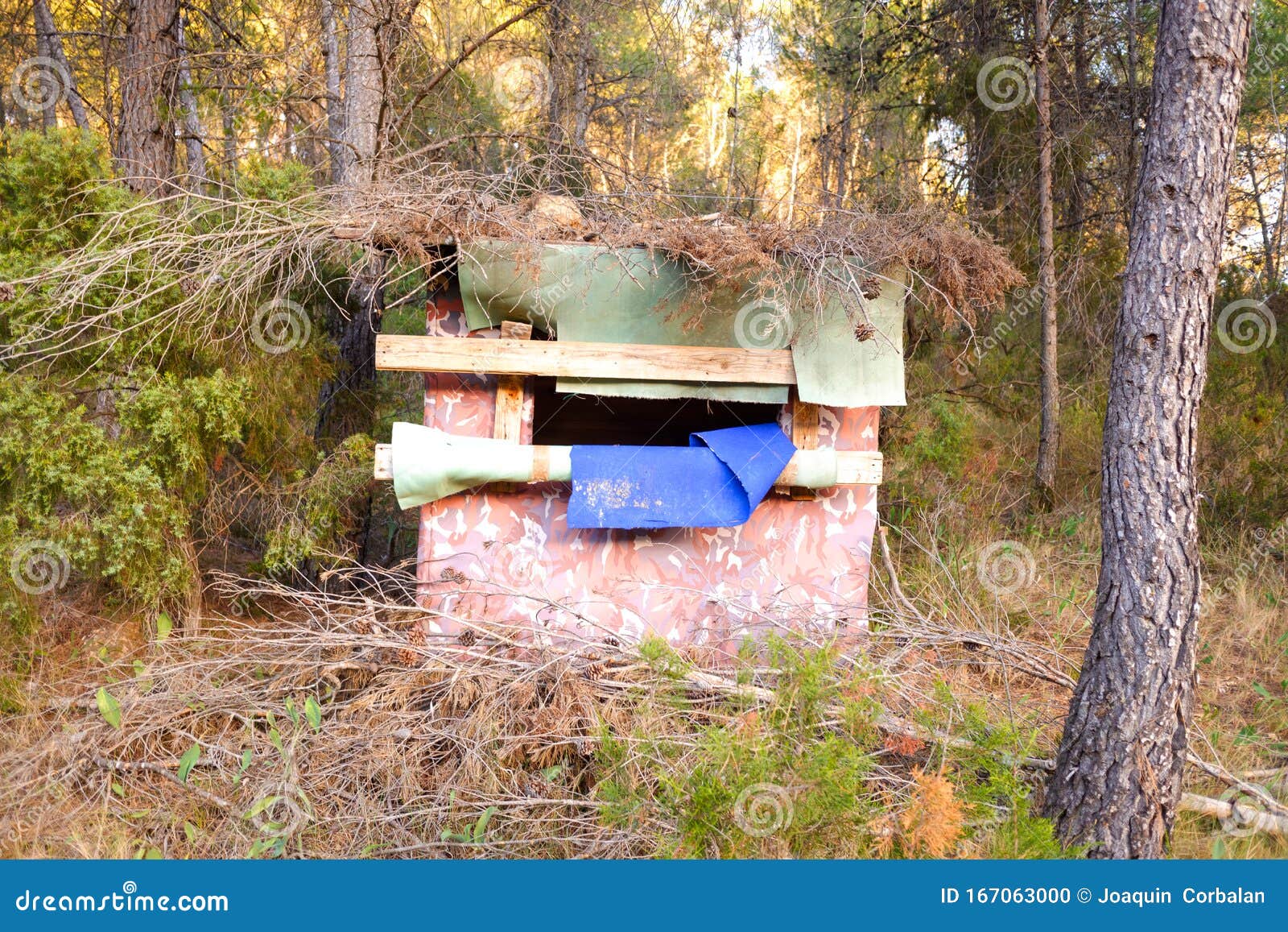 Hidden Hunting Post Camouflaged in a Forest Stock Photo - Image of ...