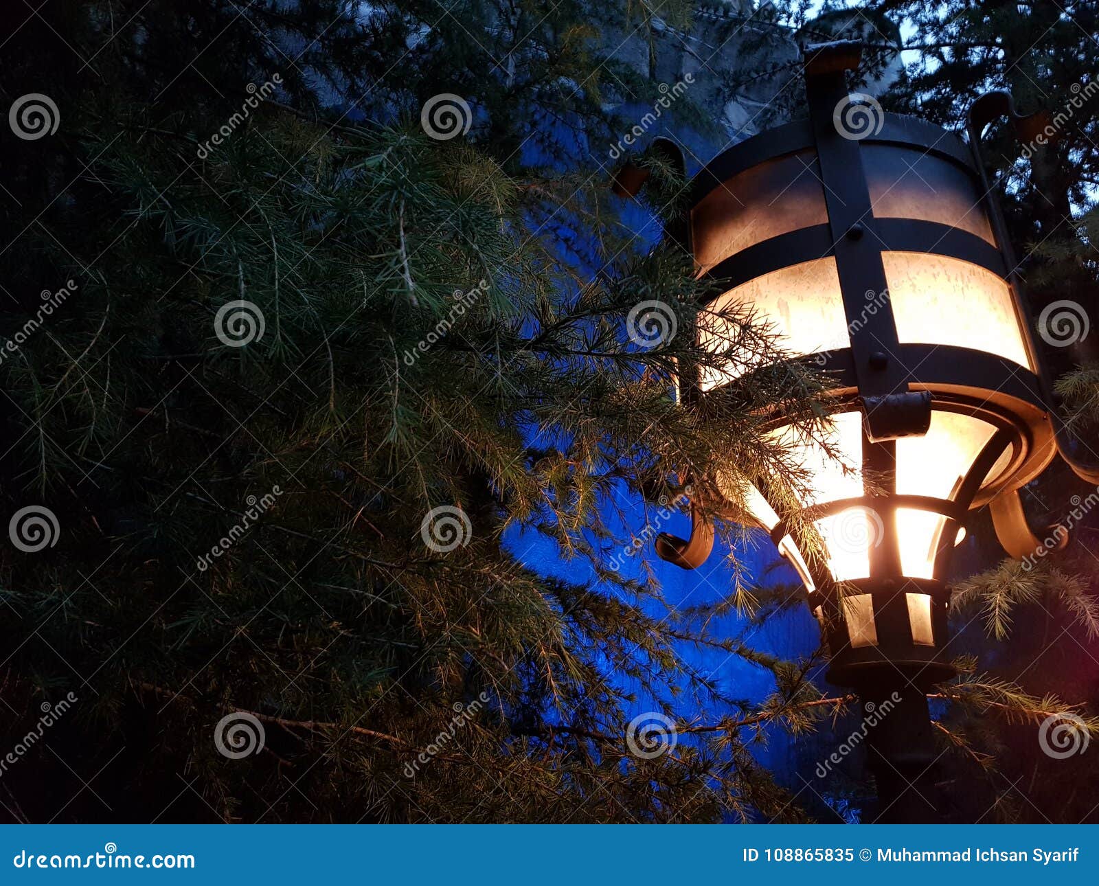 Hidden lamp editorial image. Image of studio, tree, park - 108865835