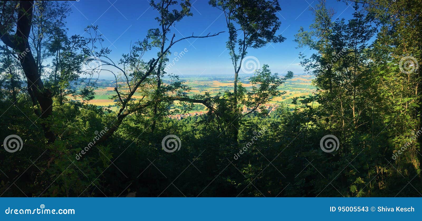 The hidden landscape stock image. Image of trees, nature - 95005543