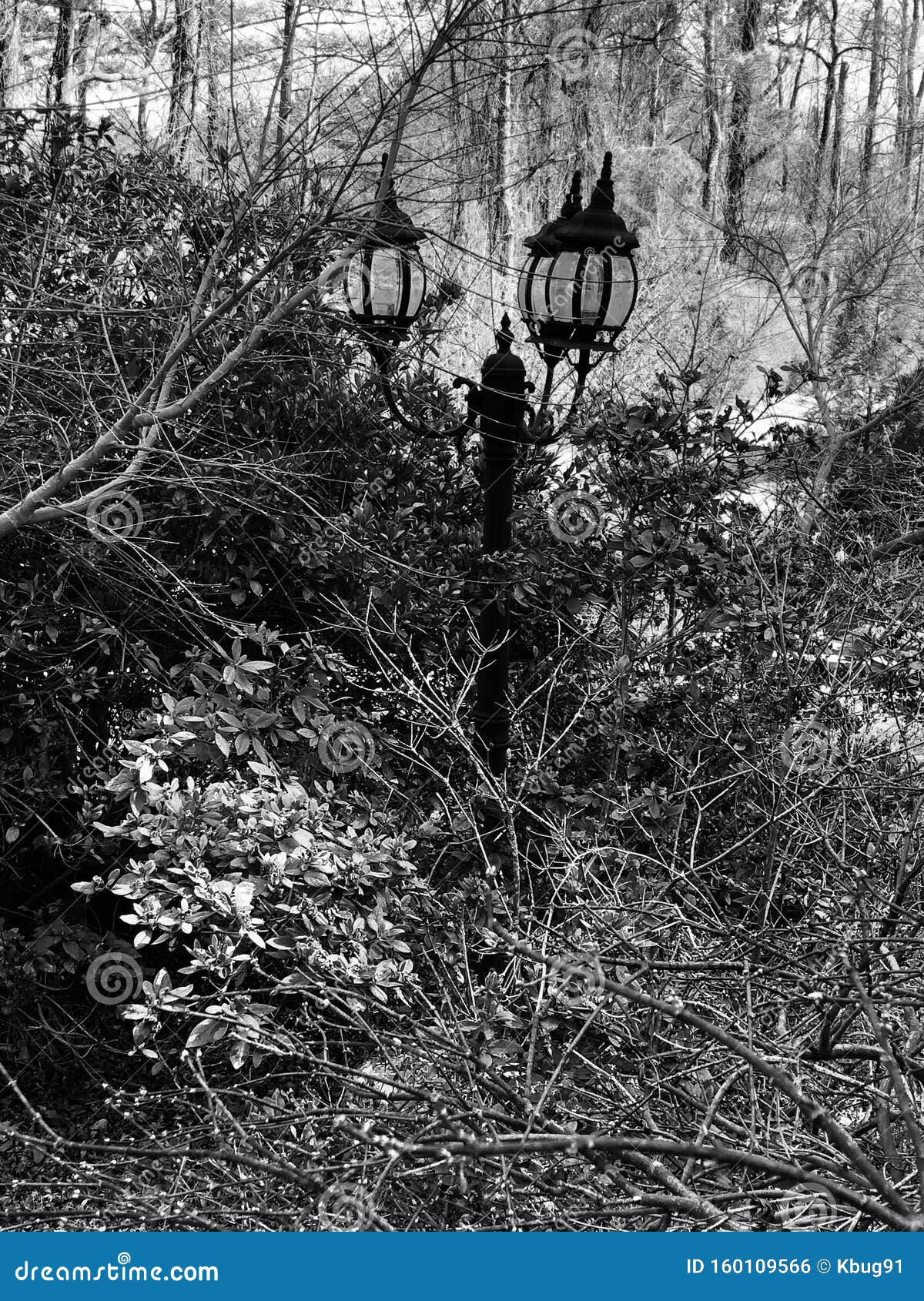 Hidden lightpole stock photo. Image of hidden, lightpole - 160109566