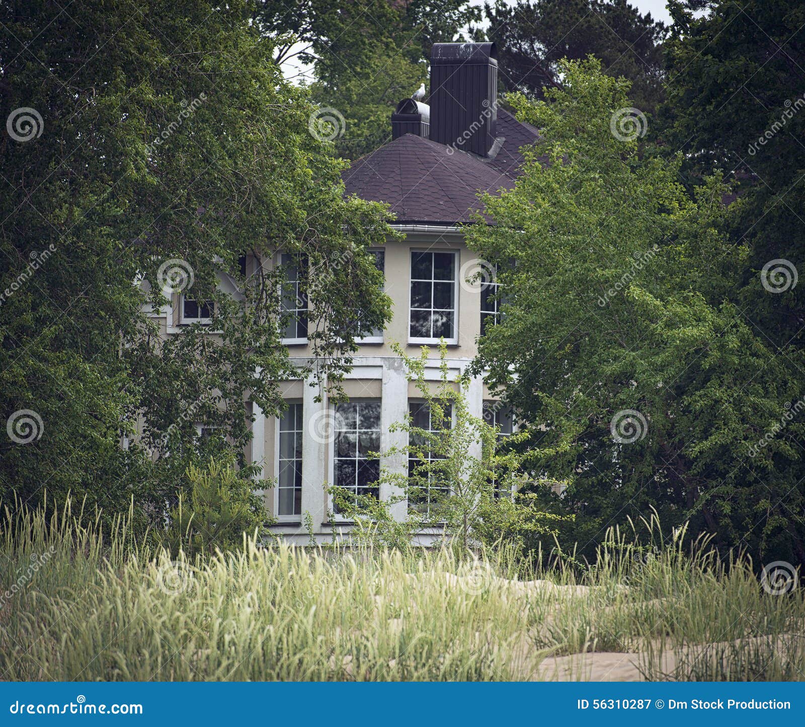 Hidden mansion. stock image. Image of home, estate, mansion - 56310287