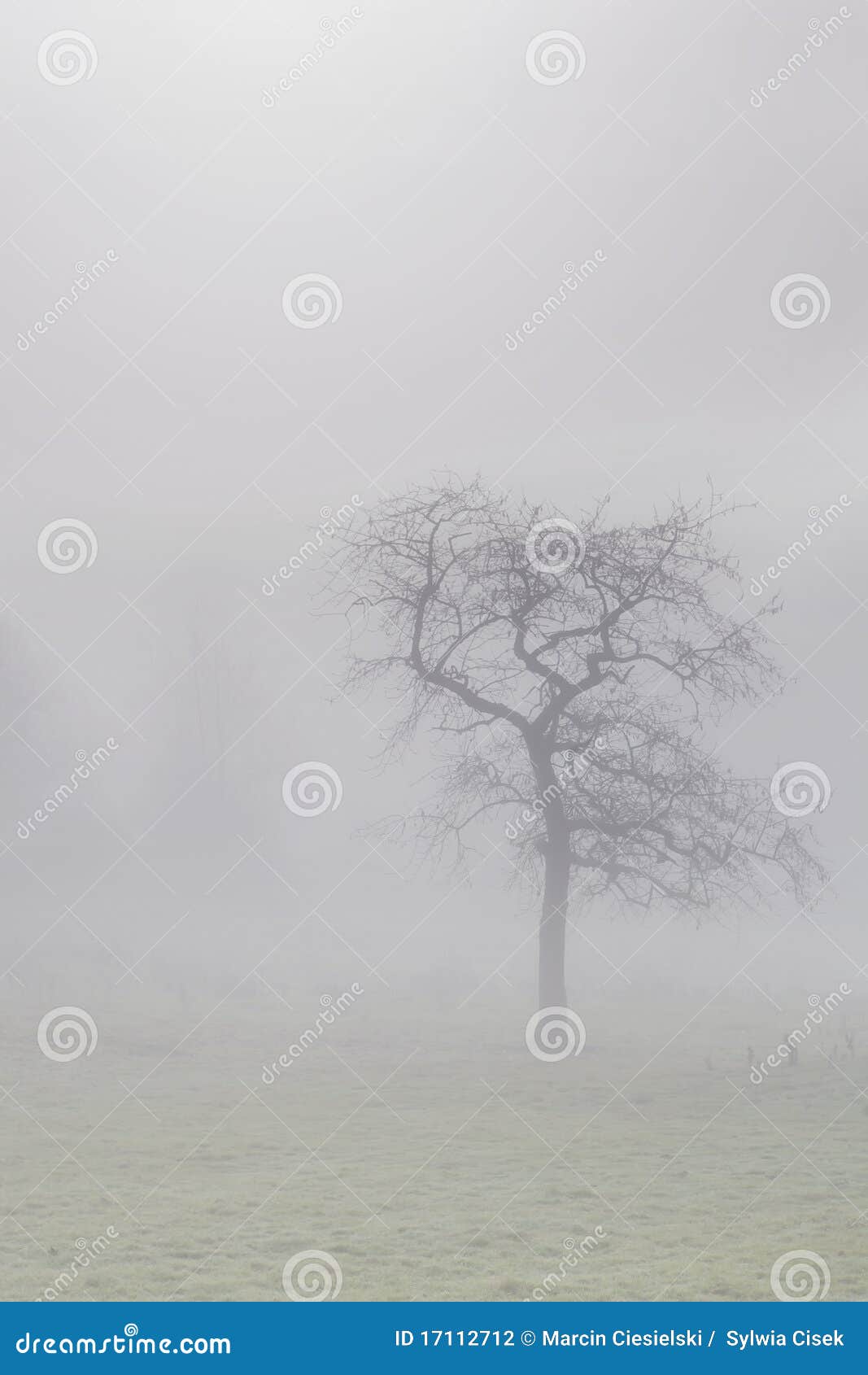 Hidden in mist stock photo. Image of misty, nature, mist - 17112712