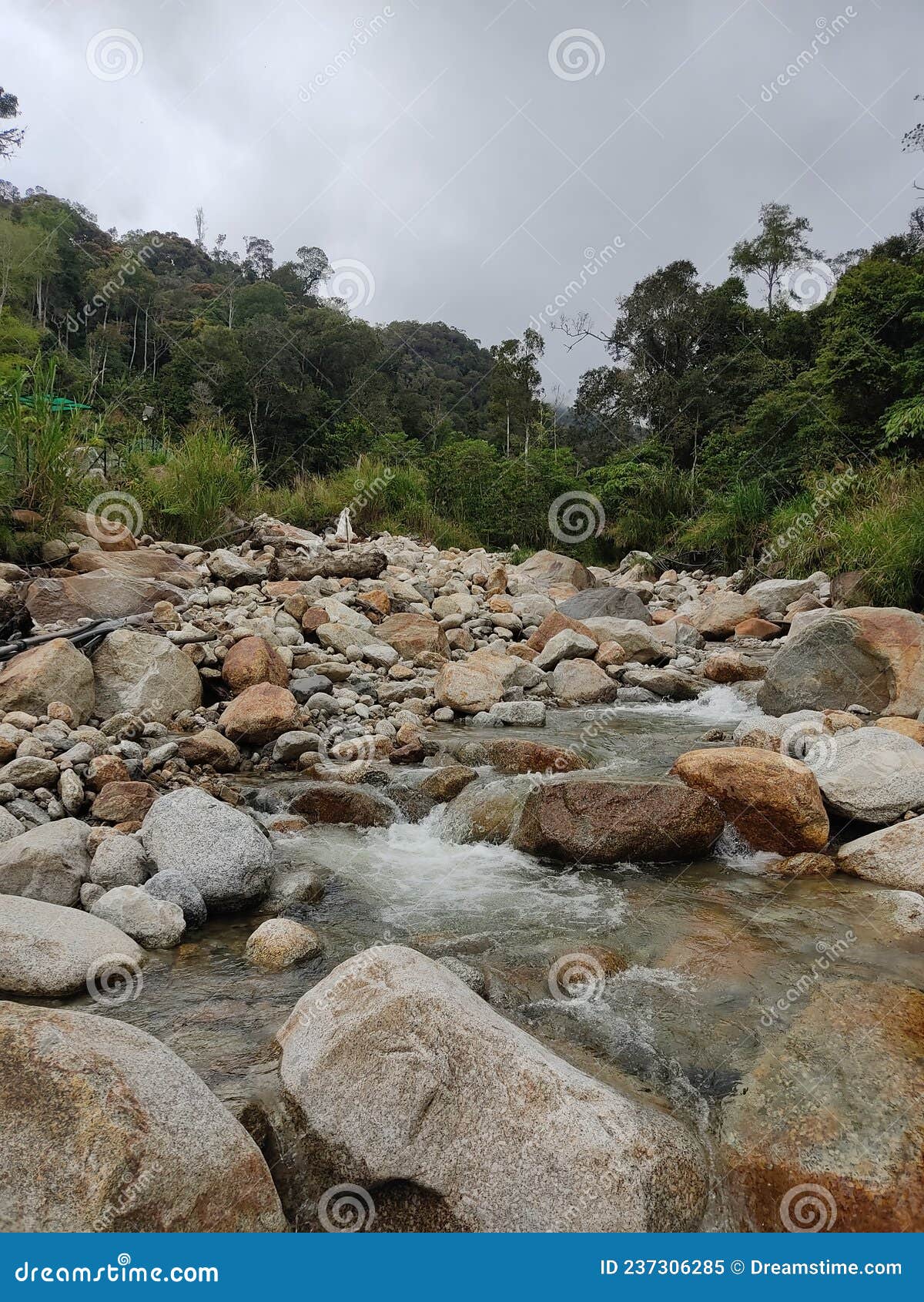 Hidden Nature : Freezing Cold River Stock Image - Image of cold, nature ...
