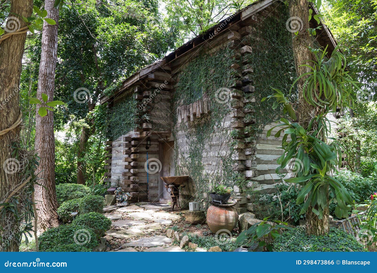 Hidden Old House Covered by Ivy and Surrounded by Trees Stock Photo ...
