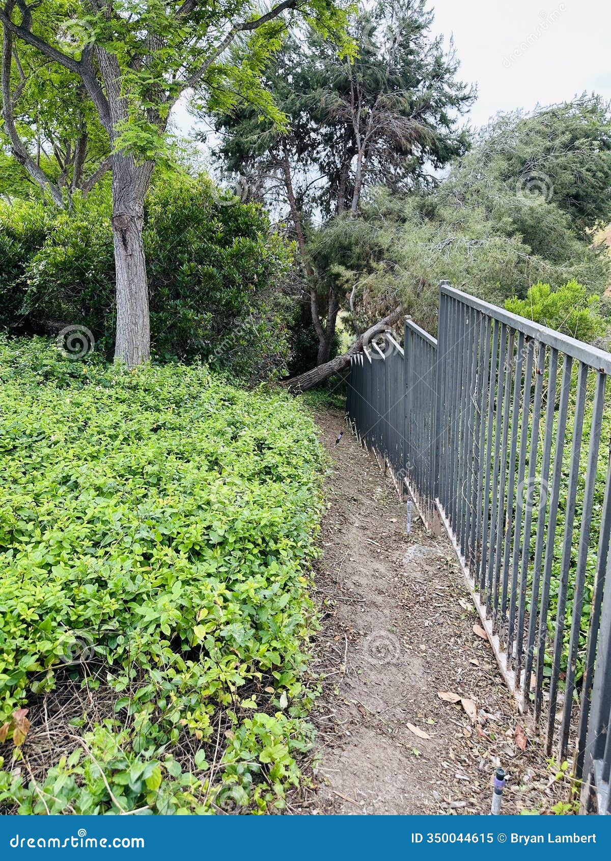 Hidden Path stock image. Image of inspiration, mystery - 350044615